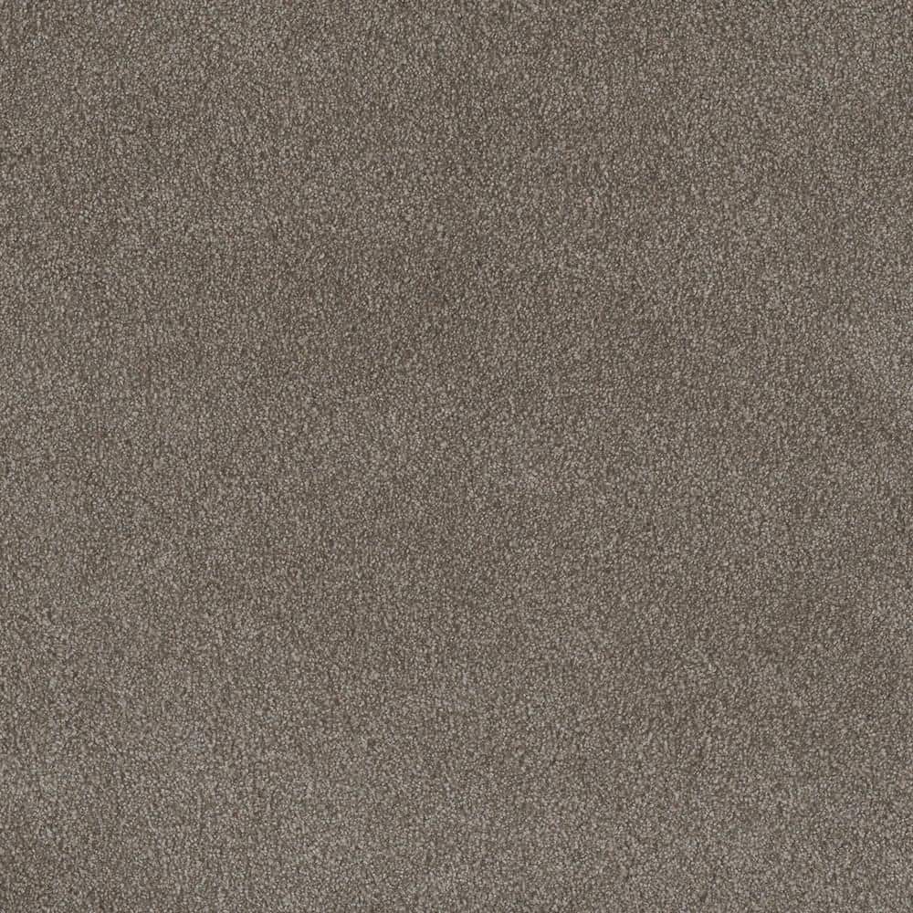 Home Decorators Collection 8 in. x 8 in. Texture Carpet Sample - First ...