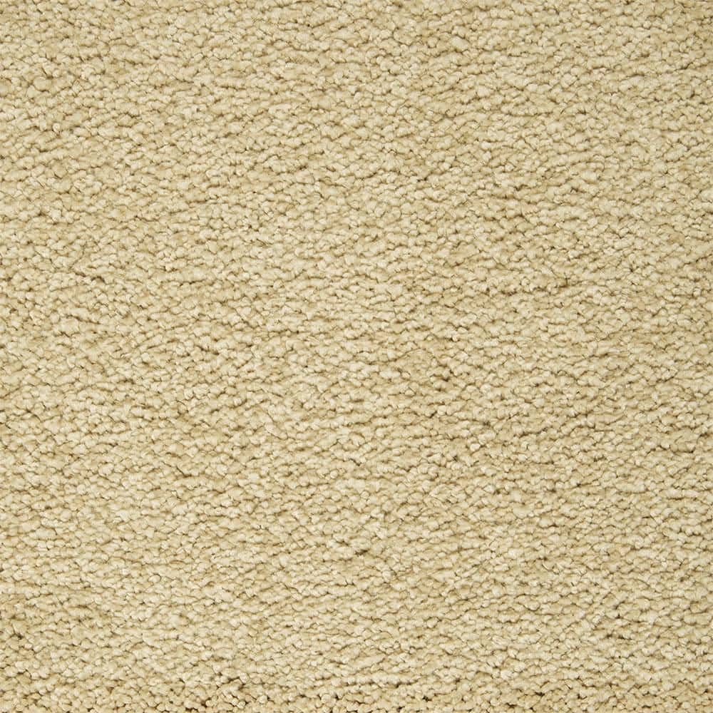 Mohawk 8 in. x 8 in. Texture Carpet Sample - Appreciate I - Color ...