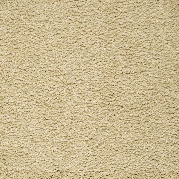 Mohawk 8 in. x 8 in. Texture Carpet Sample - Appreciate I - Color ...