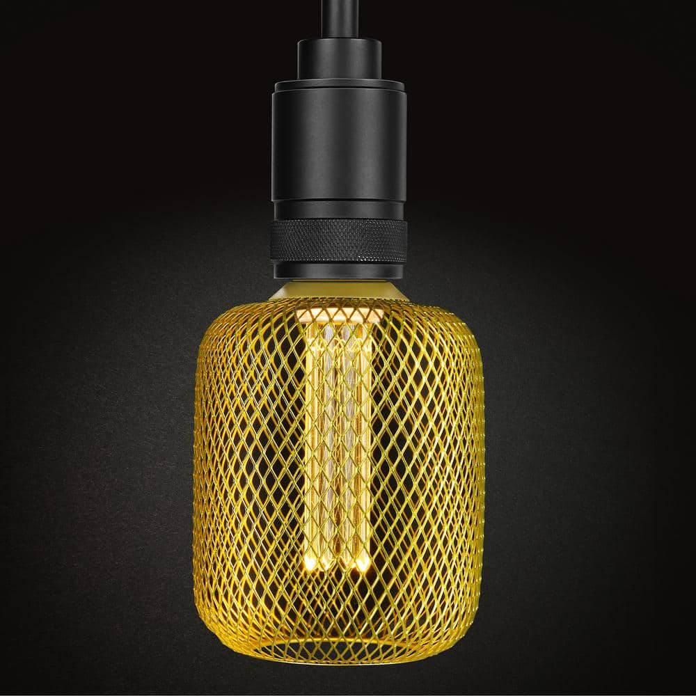 Feit Electric 25W Equivalent Dimmable Vintage Oversized E26 LED Light ...