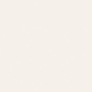 FORMICA 4 ft. x 8 ft. Laminate Sheet in Neutral White with Matte Finish ...