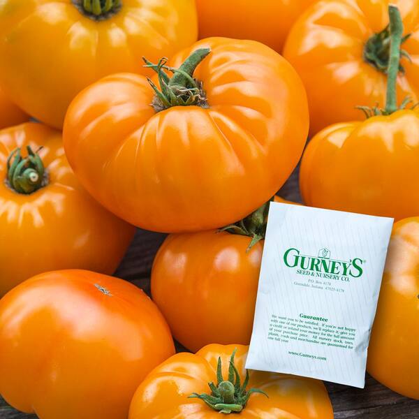 Gurney's Tomato Orange Whopper Hybrid (15 Seed Packet) 64790
