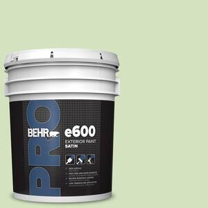 BEHR PRO 5 gal. #P380-3 Irish Folklore Low Luster Exterior Paint ...