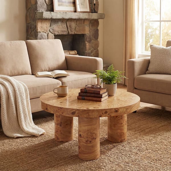 CHRISTOPHER KNIGHT HOME Clavex Modern 31.5 in. Natural Burl Veneer ...