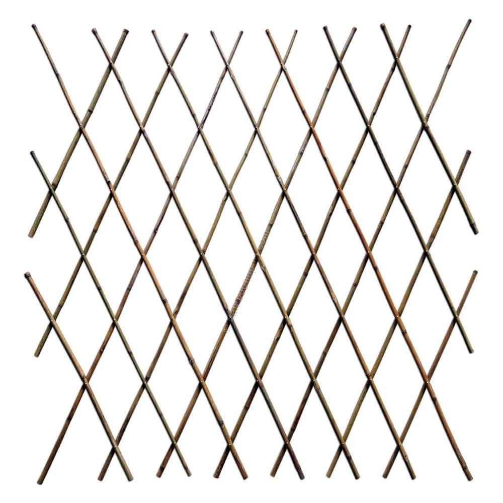 Have a question about MGP 48 in. H Expandable Bamboo Poles Trellis ...