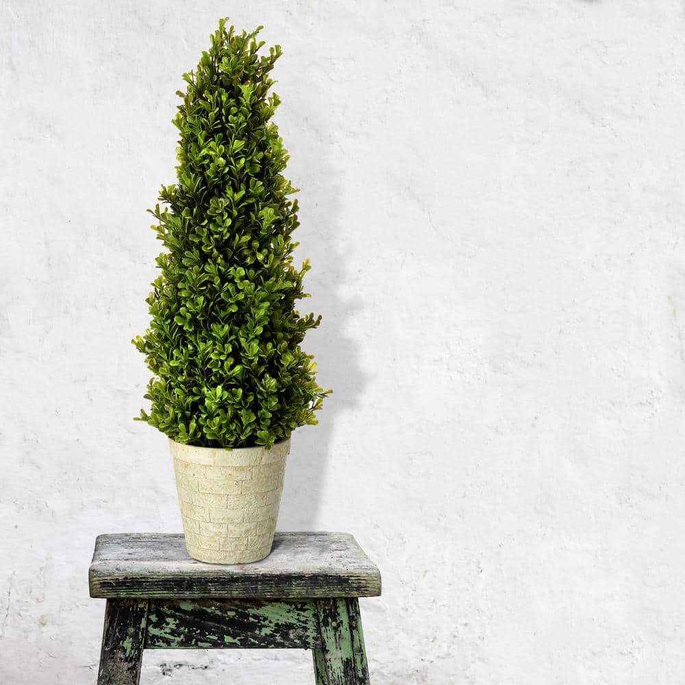 Regency International 24 in. Green Artificial Boxwood Cone Topiary in ...