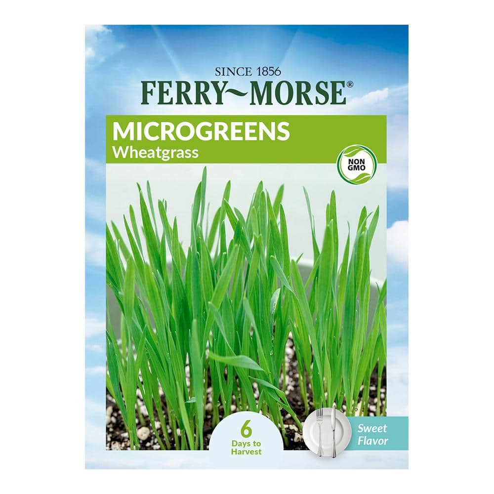 Ferry-Morse Wheatgrass Micro-greens Vegetable Seeds 9675 - The Home Depot