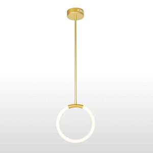 CWI Lighting Hoops 1 Light LED Chandelier With Satin Gold Finish ...