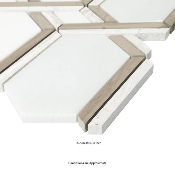 MSI Take Home Tile Sample - Royal Link 4 in. x 4 in. Polished Marble ...