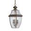 Generation Lighting Lancaster 3-Light Antique Brushed Nickel Outdoor Hanging Pendant 6039-965 ...