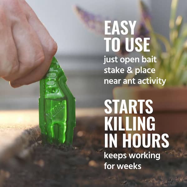 TERRO Outdoor Liquid Ant Bait Stakes (8-Count) T1813 - The Home Depot