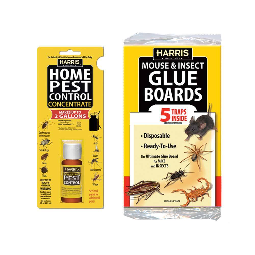 Harris 1 oz. Pest Control Concentrate and Pest Glue Boards (5-Pack ...