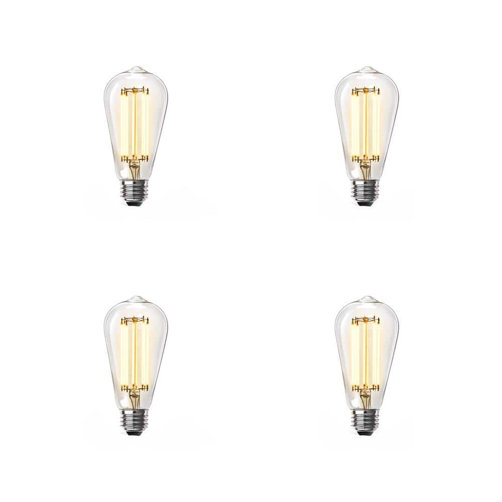 Reviews for Feit Electric 60-Watt Equivalent ST19 Dimmable Cage ...