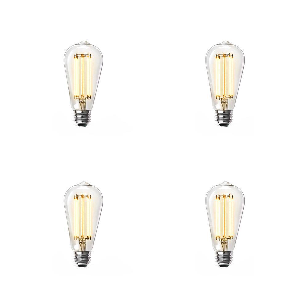 Reviews for Feit Electric 60-Watt Equivalent ST19 Dimmable Straight ...