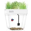 Back to the Roots Premium Acrylic Water Garden Fish Tank That Grows ...