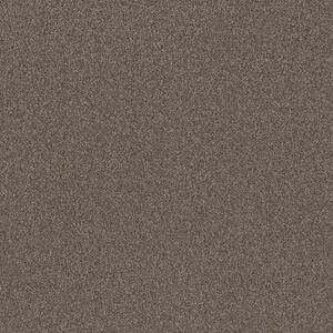 Home Decorators Collection 8 in x 8 in. Texture Carpet Sample ...