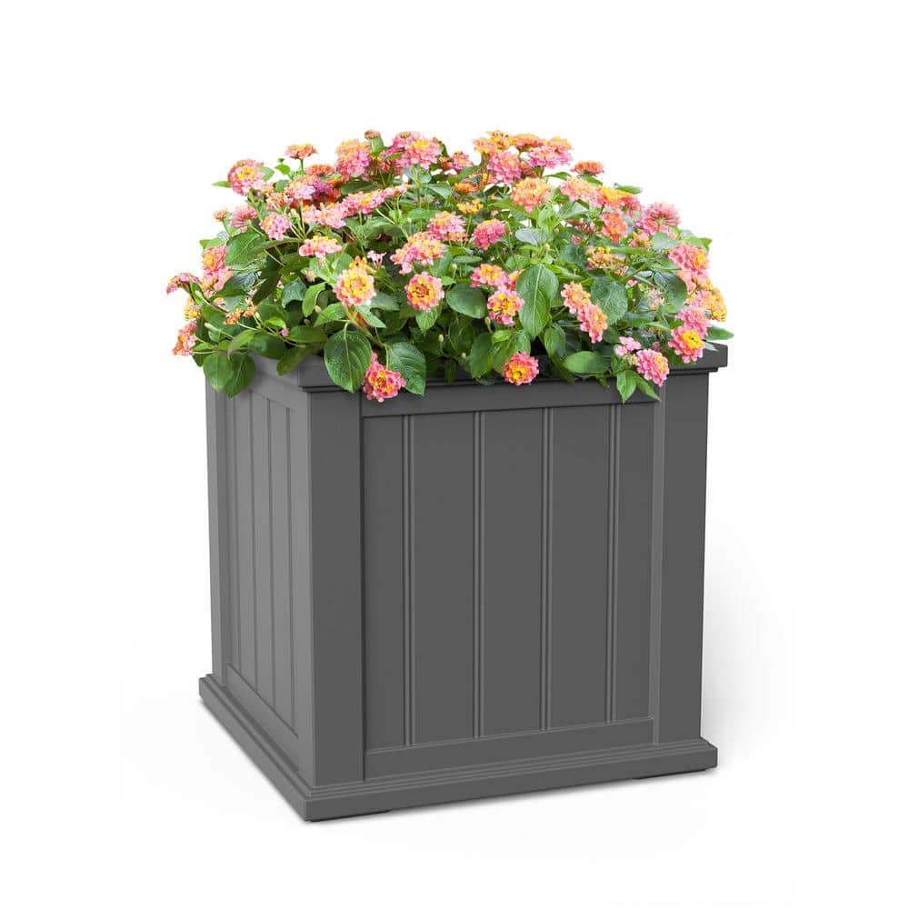 Mayne Cape Cod 20 in Square Self-Watering Graphite Grey Polyethylene ...