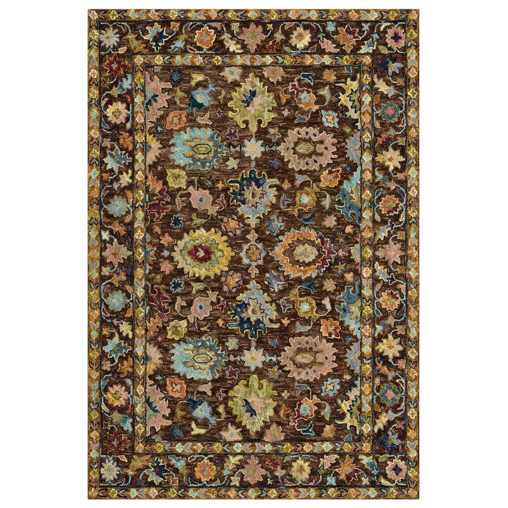 Amer Rugs Jackson 9 x 12 Brown Traditional Pattern Area Rug for High ...