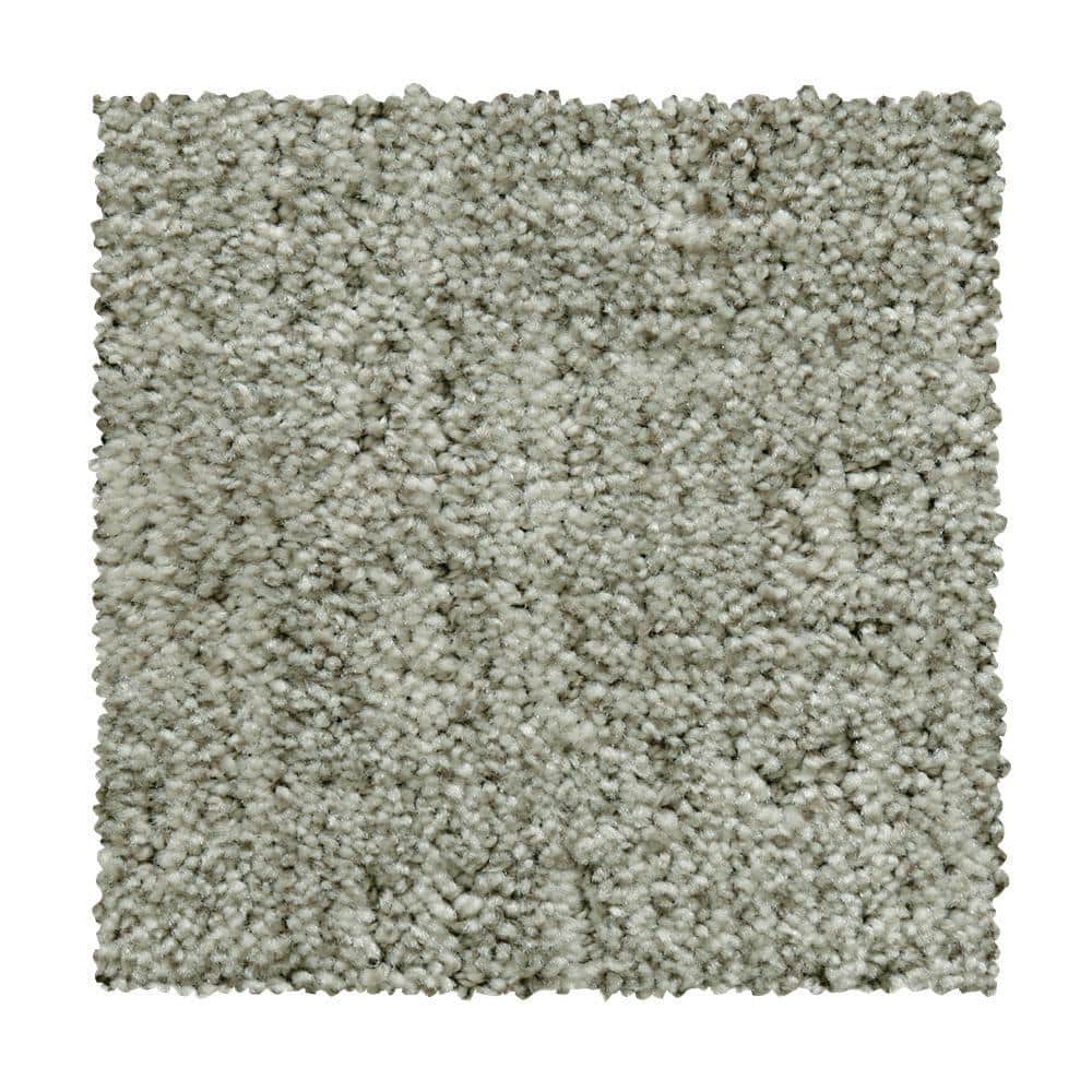 Home Decorators Collection 8 in. x 8 in. Pattern Carpet Sample - Corry ...