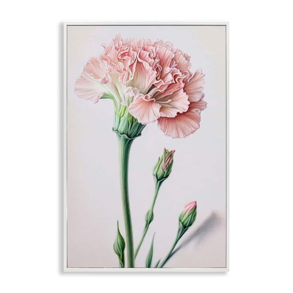 Stupell Industries Pale Carnation Budding by Incado White Framed Nature Giclee Art Print 30 in ...