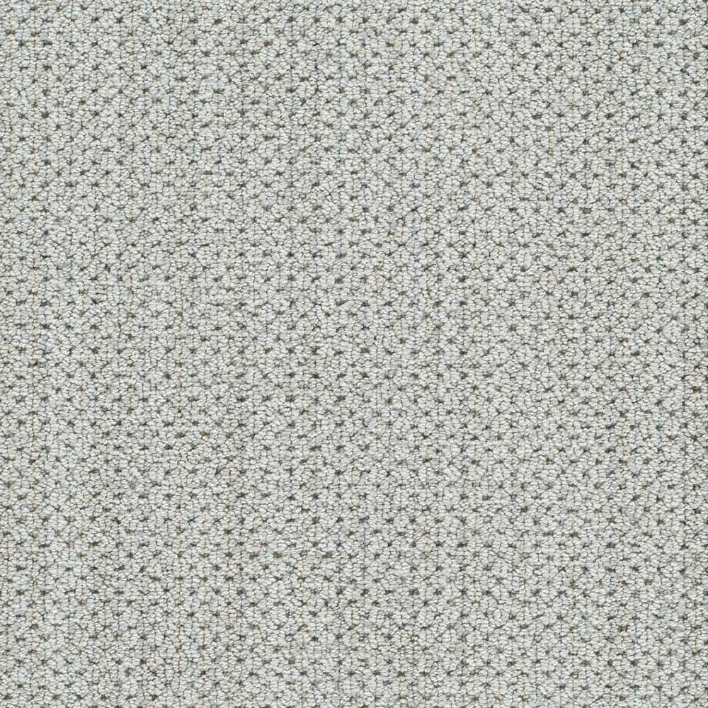 Lifeproof 8 in. x 8 in. Pattern Carpet Sample-Cardigan-Color Big Hit EF ...