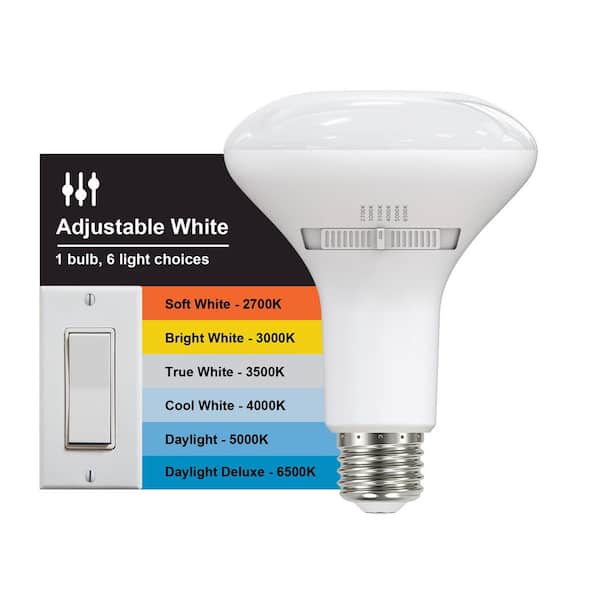 65 Watt - LED Light Bulbs - The Home Depot