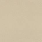 Wilsonart 3 ft. x 10 ft. Laminate Sheet in Tumbled Roca with Standard ...