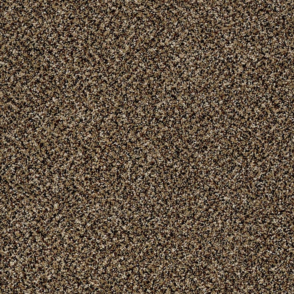 Home Decorators Collection 8 in. x 8 in. Twist Carpet Sample ...