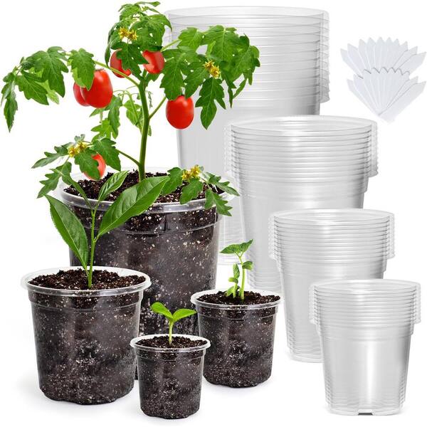 MIXC 6.7/5/4/3.5 in. Clear Nursery Pots with Drainage Hole, Variety ...