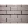 Custom Building Products Polyblend #115 Platinum 8 oz. Grout Renew ...