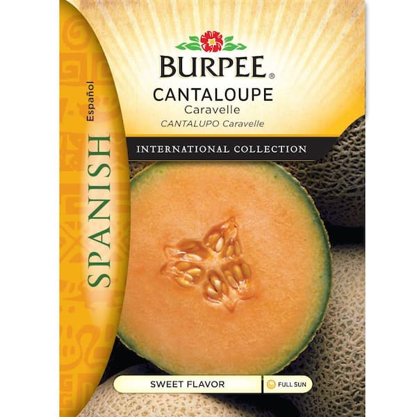 Burpee International Collection Spanish Vegetable Melon Caravelle Seed ...