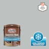 Glidden 1 gal. PPG10-15 Quest Solid Interior/Exterior Concrete Stain ...