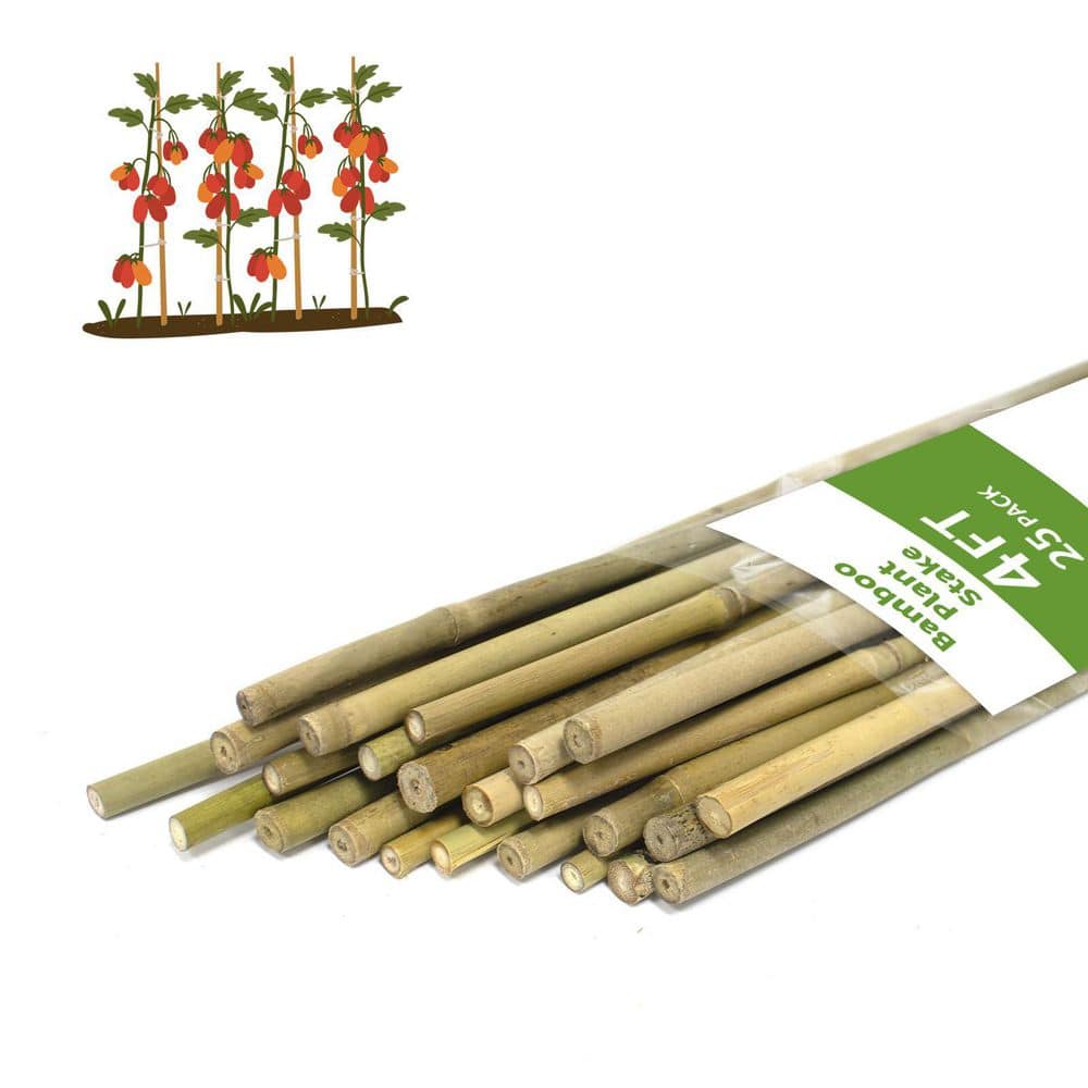 4 ft. Natural Bamboo Garden Stakes, Plant Stakes for Climbing Support ...