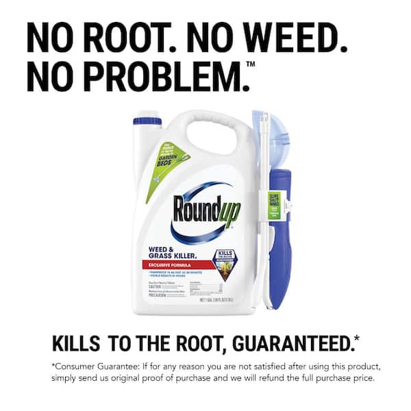 Roundup Weed and Grass Killer 4 with Trigger Sprayer, 1 gal., Use In ...