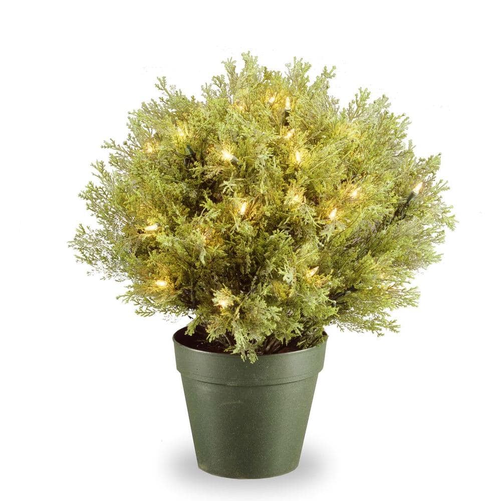National Tree Company 30 in. Artificial Globe Juniper Tree with 70 ...