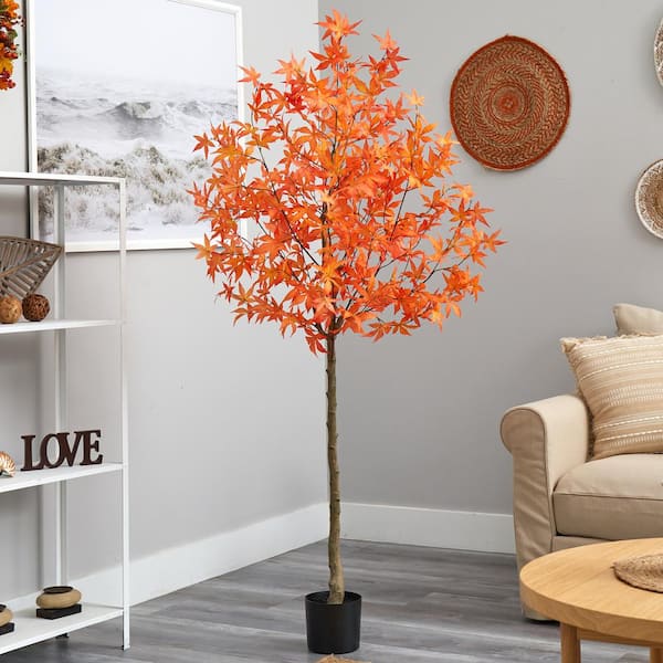 Autumn Maple Tree