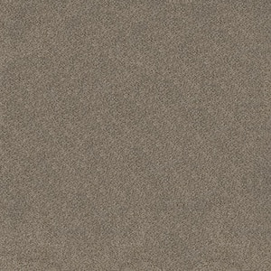 Home Decorators Collection 8 in x 8 in. Texture Carpet Sample ...