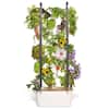 Gardyn Home 4.0 Hydroponics Growing System Kit & Vertical Planter, 30 ...