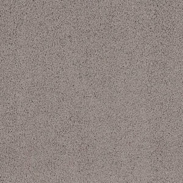 Lifeproof 8 in. x 8 in. Texture Carpet Sample - Around The World ...