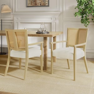 CHRISTOPHER KNIGHT HOME Lucas Light Ash and Beige Polyester Upholstered ...