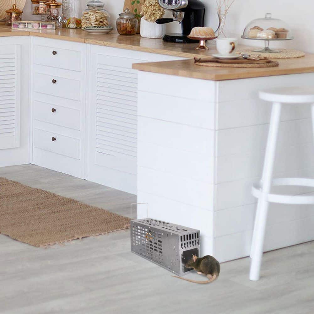 Cisvio Live rat trap series. Outside. Reusable metal squirrel cages ...