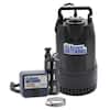 Basement Watchdog 1/2 HP Cast Iron Submersible Sump Pump with Top ...