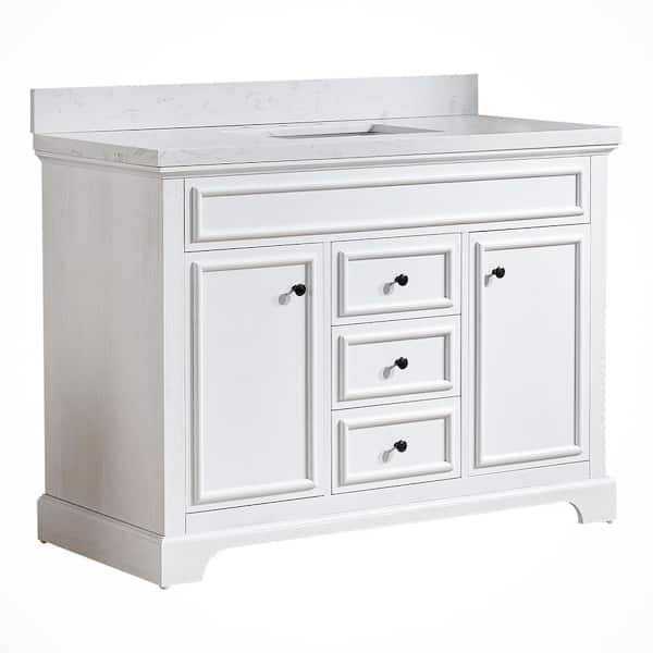 Zeus & Ruta 48 in. W x 22 in. D x 36 in. H Single Sink Bath Vanity in ...