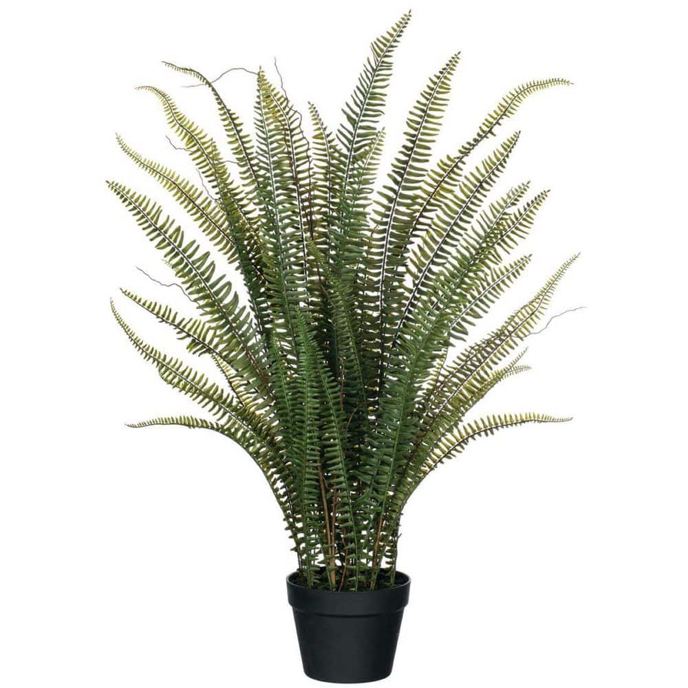 SULLIVANS 38 in. Artificial Potted Feather Fern 0599POT - The Home Depot