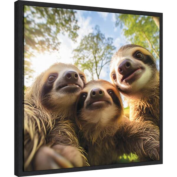 Kate and Laurel Sylvie "Funny Animal Sloth Selfie" by The Creative ...