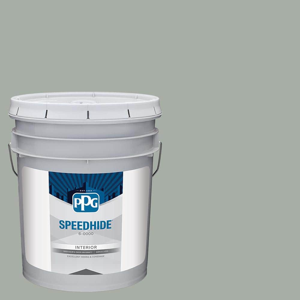 SPEEDHIDE 5 gal. PPG1033-4 Light Drizzle Eggshell Interior Paint ...