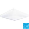 Lithonia Lighting 2-Light White Low-Profile Wall/Ceiling Flush Mount ...