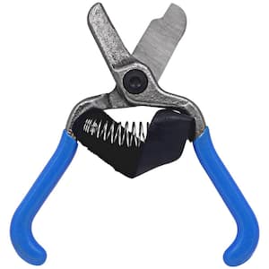 5 in. L Forged Stainless Steel Fuji/Orange Fruit Clippers with Strap ...