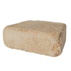 Pavestone RumbleStone Trap 3.5 in. x 10.25 in. x 7 in. Merriam Blend ...