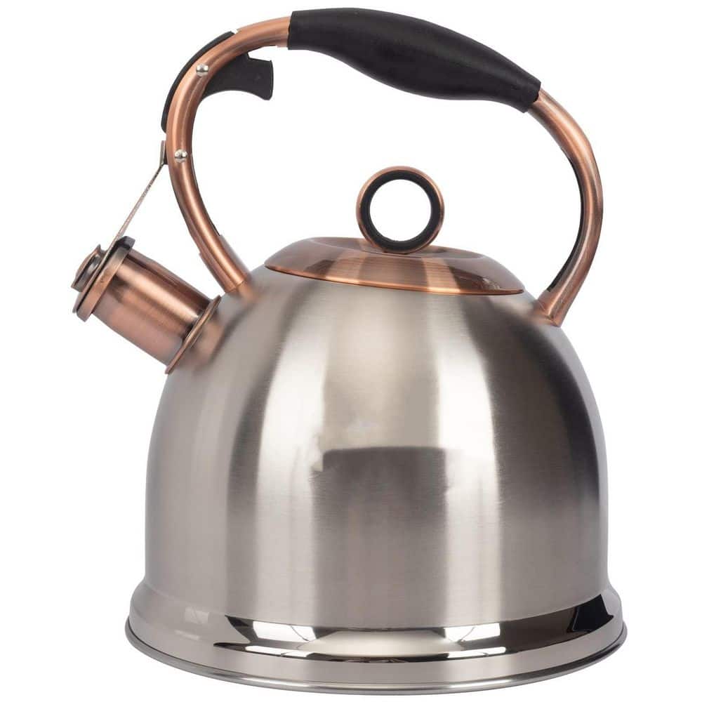 Wudkey 10-Cup Food Grade Stainless Steel Induction Stovetop Tea Kettle ...